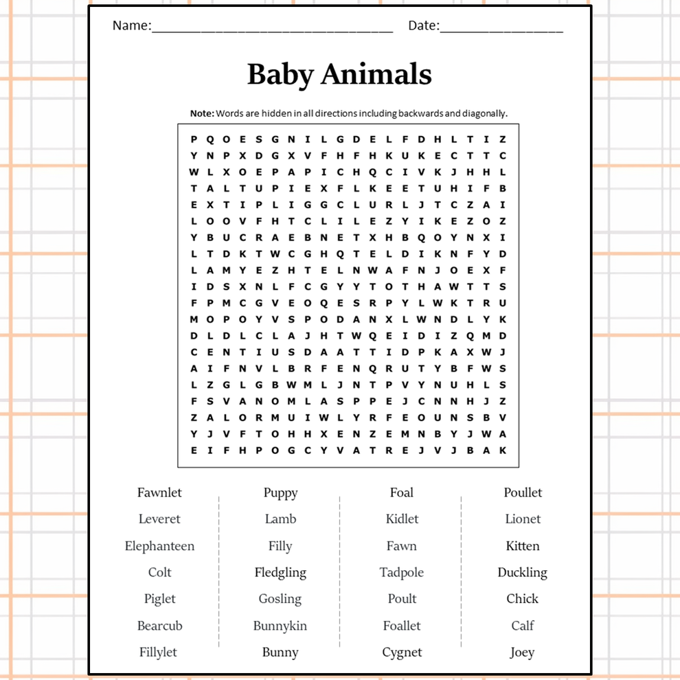 Baby Animals Word Search Puzzle Worksheet Activity PDF – PrintableBazaar
