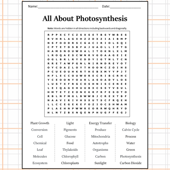 All About Photosynthesis Word Search Puzzle Worksheet Activity PDF ...