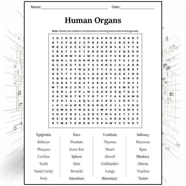 Human Organs Word Search Puzzle Worksheet Activity PDF – PrintableBazaar