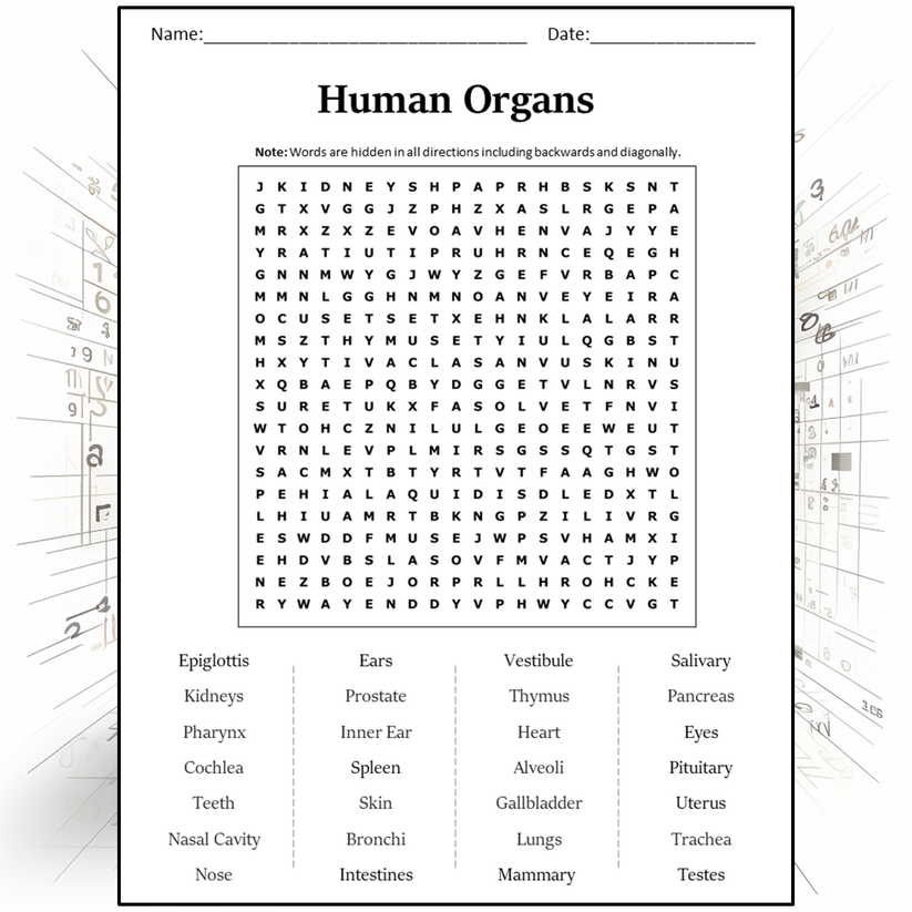 Human Organs Word Search Puzzle Worksheet Activity PDF – PrintableBazaar