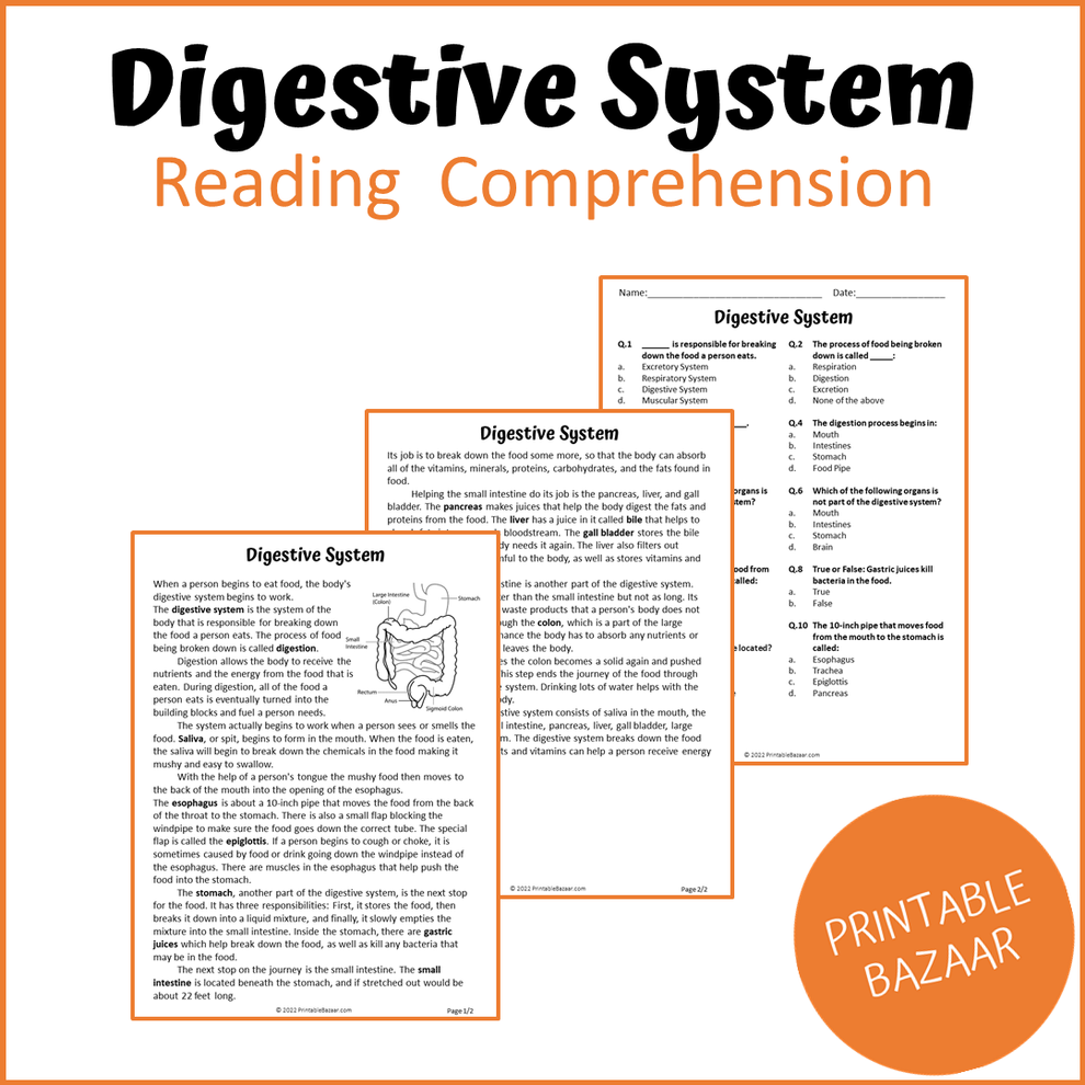 Digestive System Reading Comprehension Passage and Questions | Printab ...