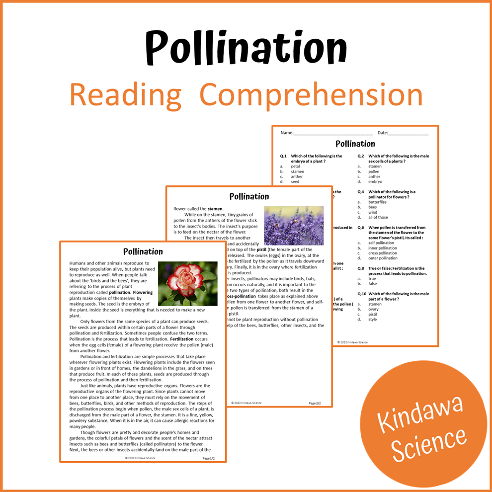 Pollination Reading Comprehension Passage and Questions | Printable PD ...