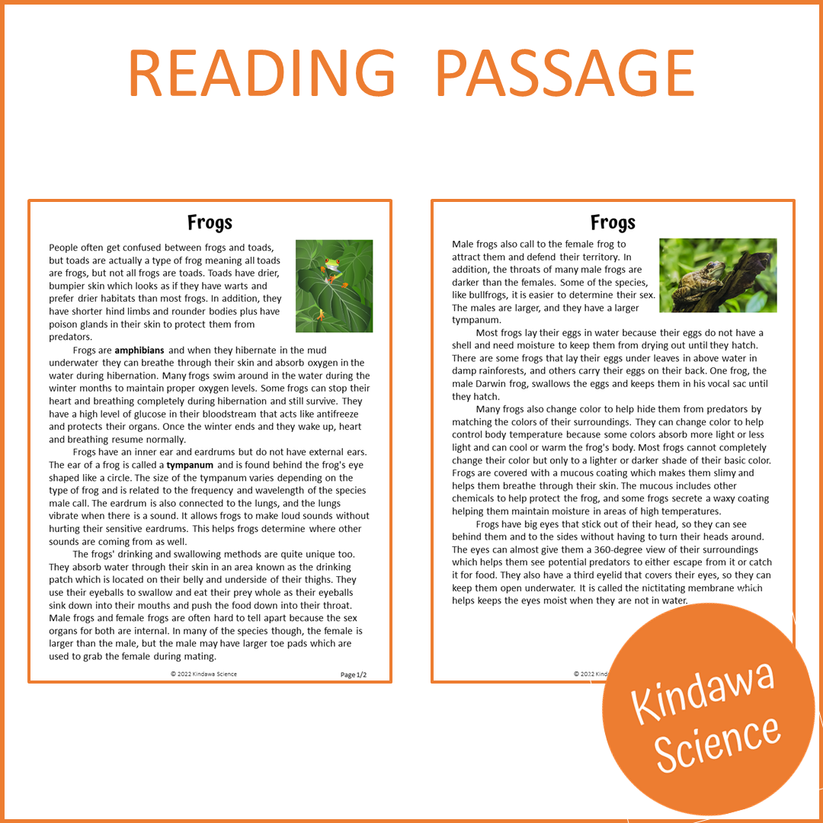 Frogs Reading Comprehension Passage and Questions | Printable PDF ...