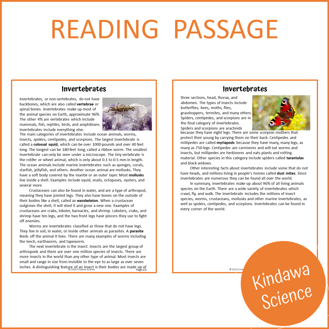 Invertebrates Reading Comprehension Passage and Questions | Printable ...