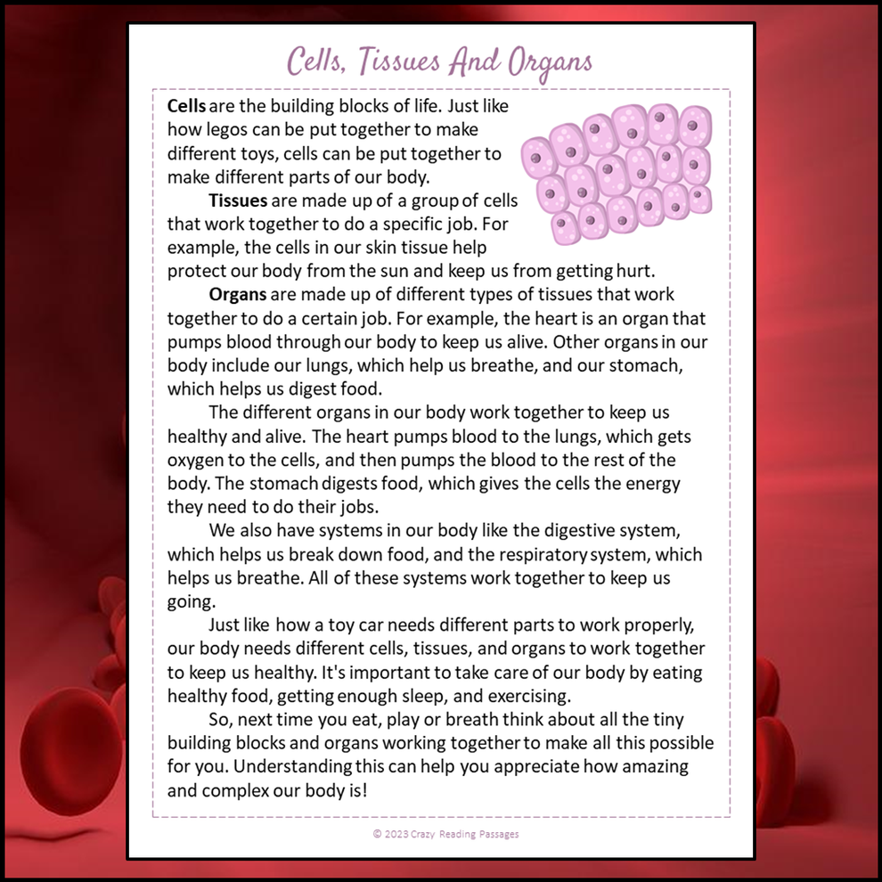 Cells, Tissues And Organs Reading Comprehension Passage and Questions ...
